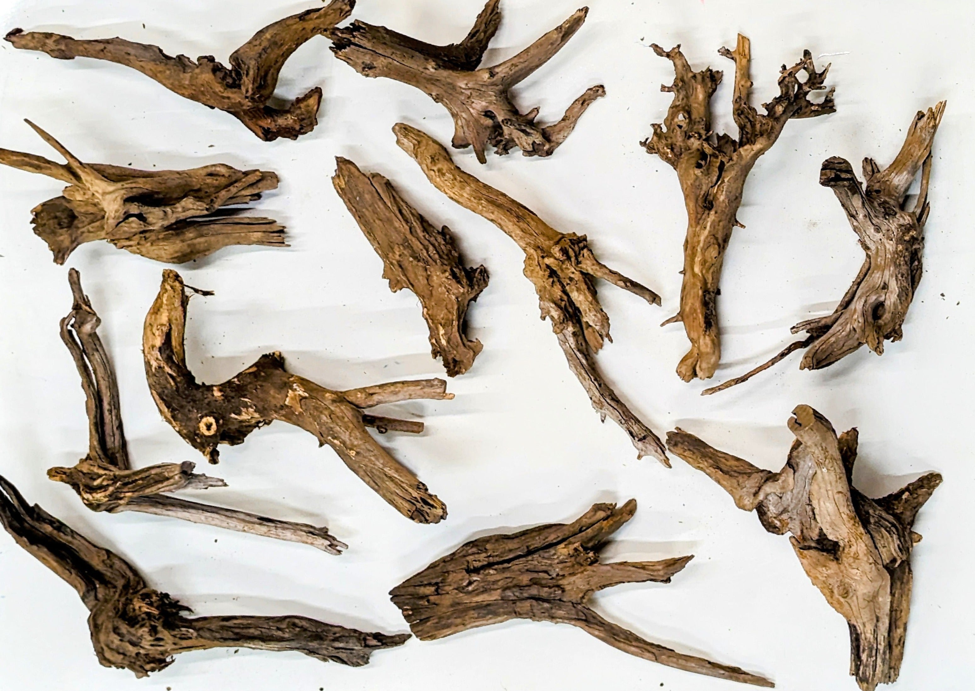 Light Wood Medium | Wholesale Driftwood | Canada – CA Industries