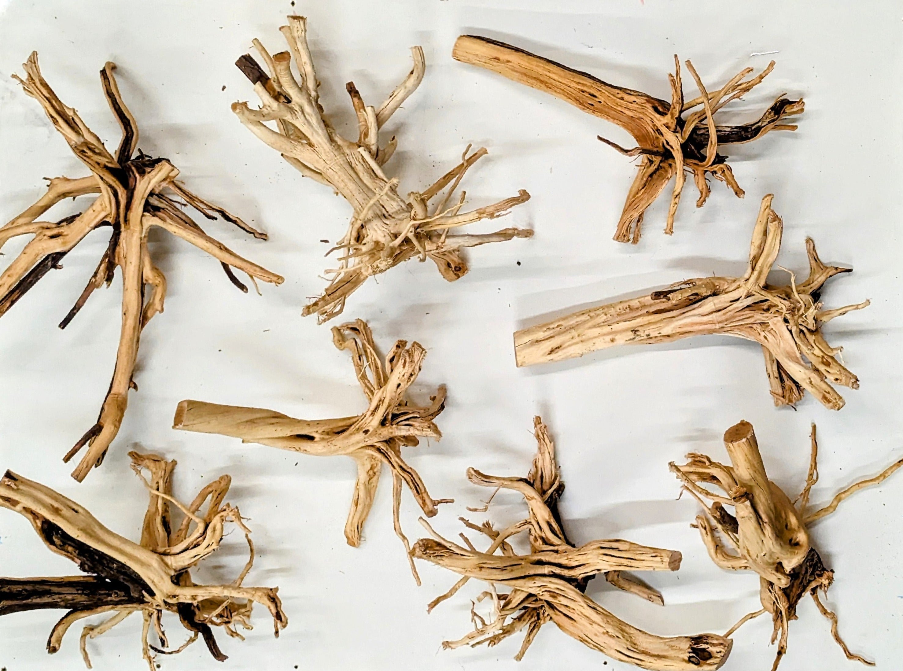 Spider Wood Medium | Wholesale Driftwood | Canada – CA Industries