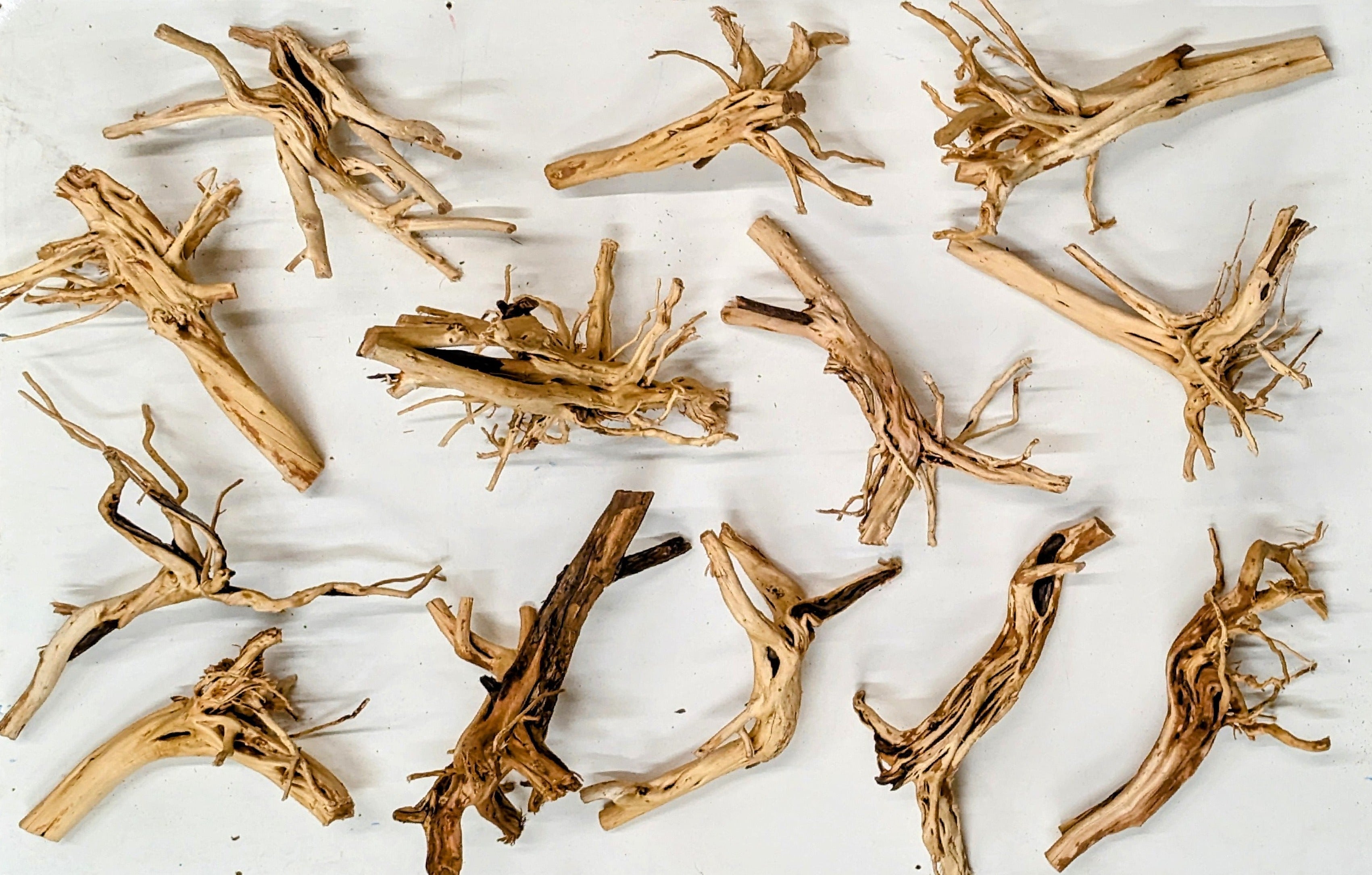 Spider Wood Small | Wholesale Driftwood | Canada – CA Industries